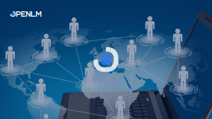 Why decentralized license allocation management? - OpenLM