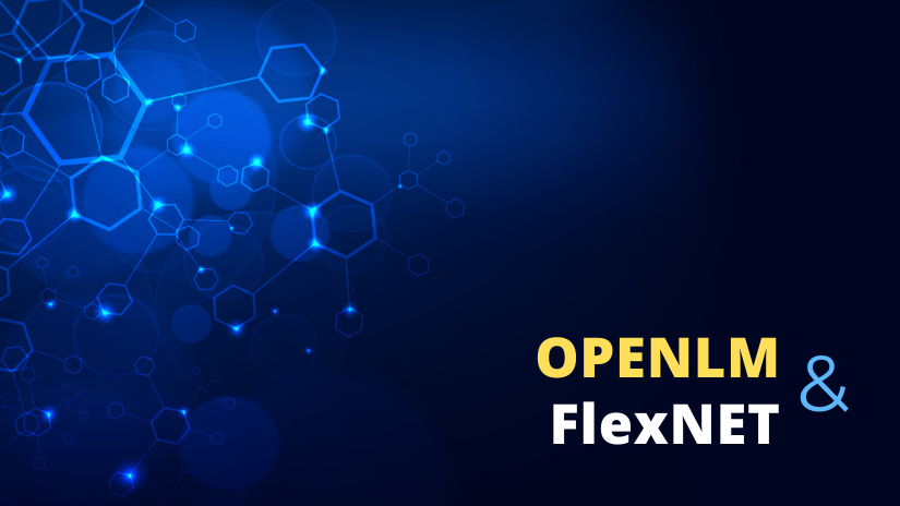 Experience Innovation: The OpenLM Advantage Over FlexNet Manager - OpenLM